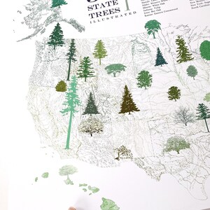 STATE Treescape Map Drawing (art Print) 50 State Trees America USA ...