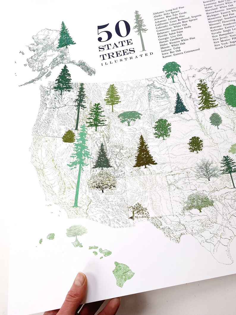 STATE Treescape Map Drawing art Print 50 State Trees America - Etsy
