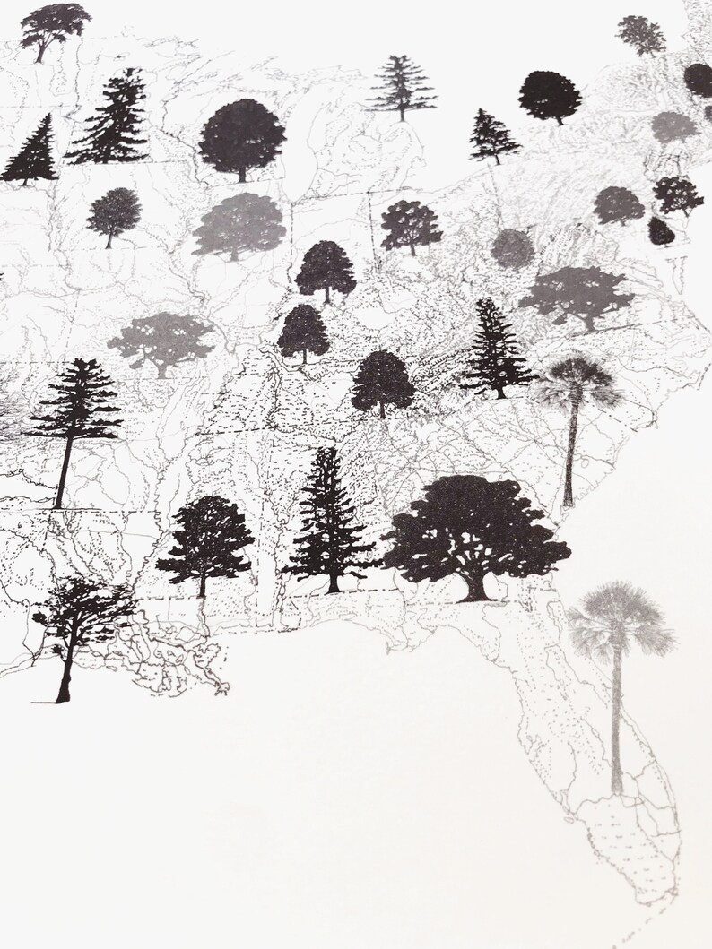 STATE Treescape Map Drawing art Print American USA State - Etsy