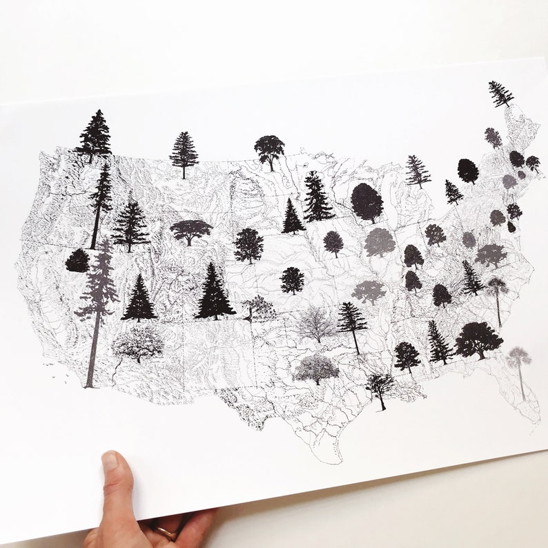 STATE Treescape Map Drawing art Print American USA State - Etsy