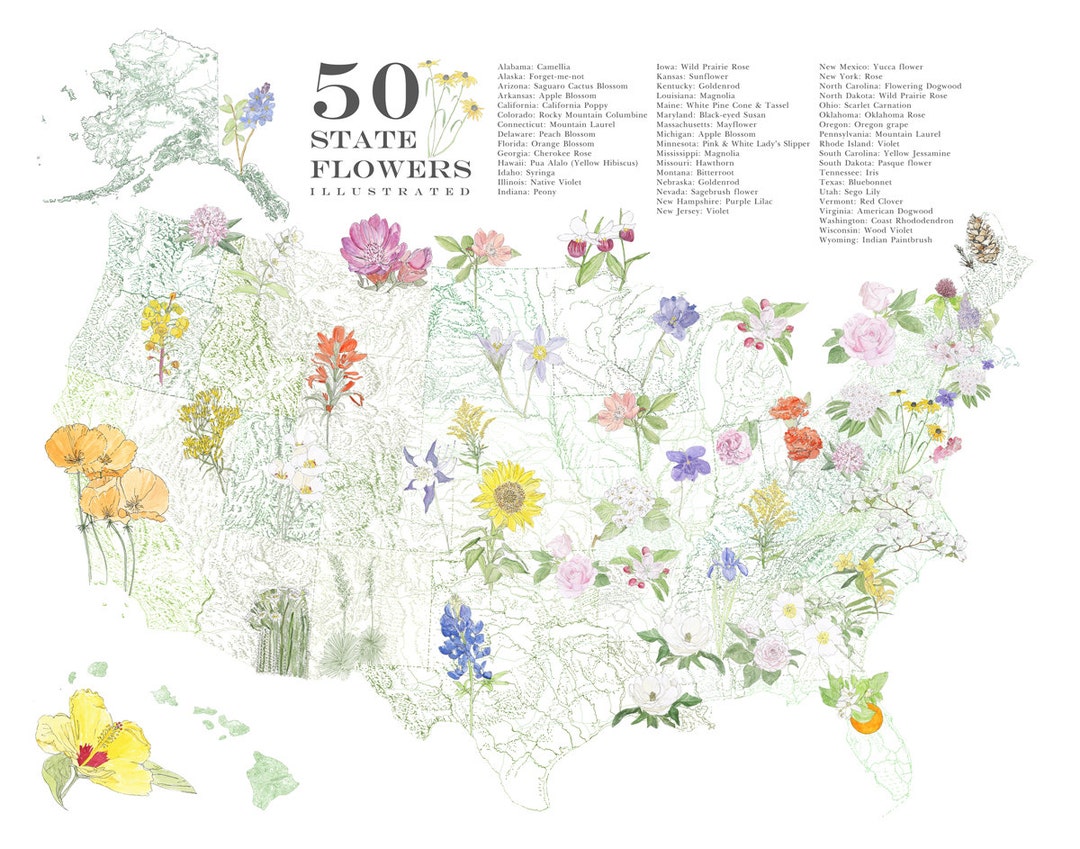 STATE Flowerscape Map Drawing art Print 50 State Flowers America USA ...