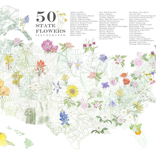 STATE Treescape Map Drawing art Print American USA State - Etsy