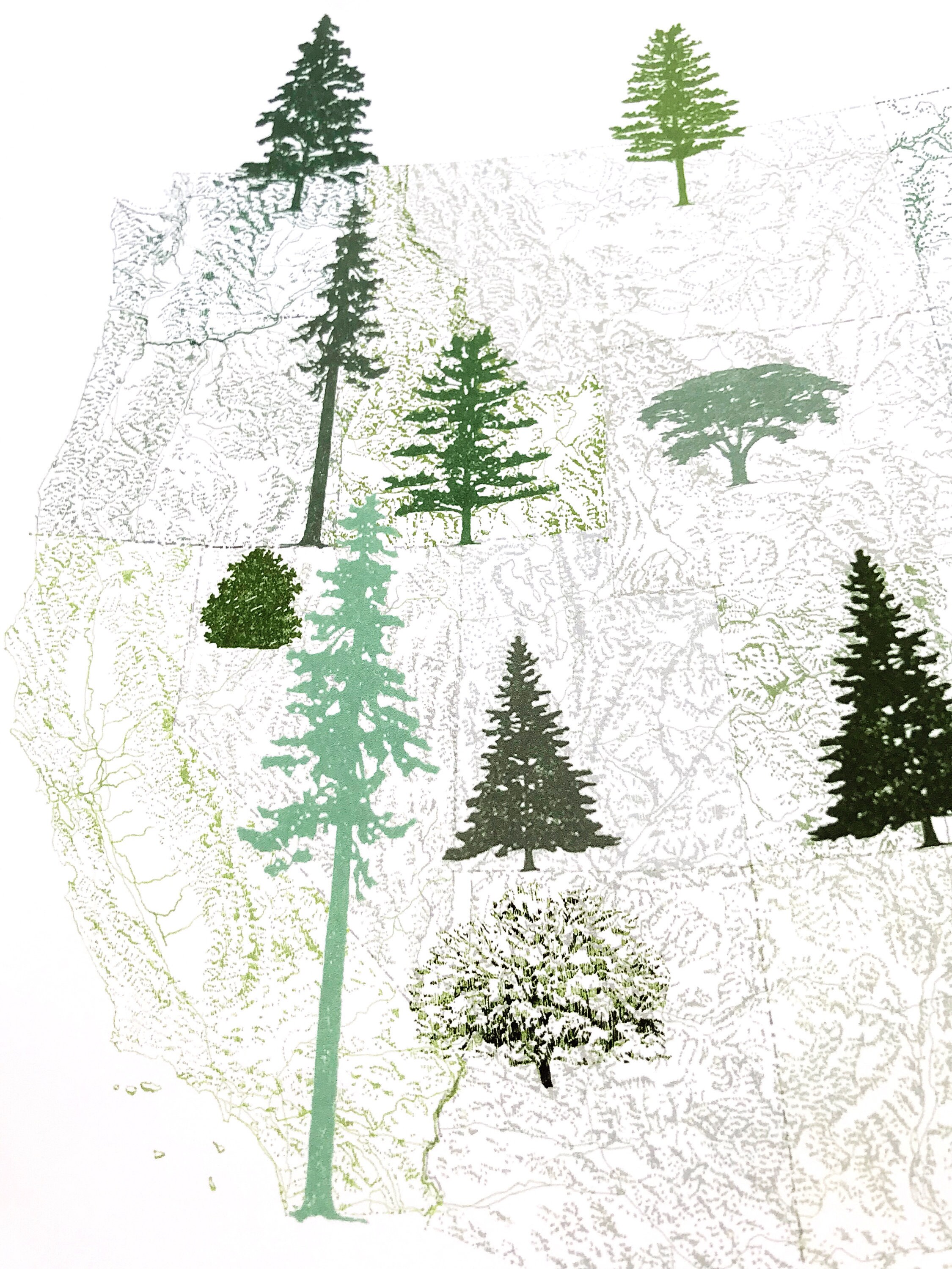 STATE TREEscape Map Drawing Art Print American USA State | Etsy