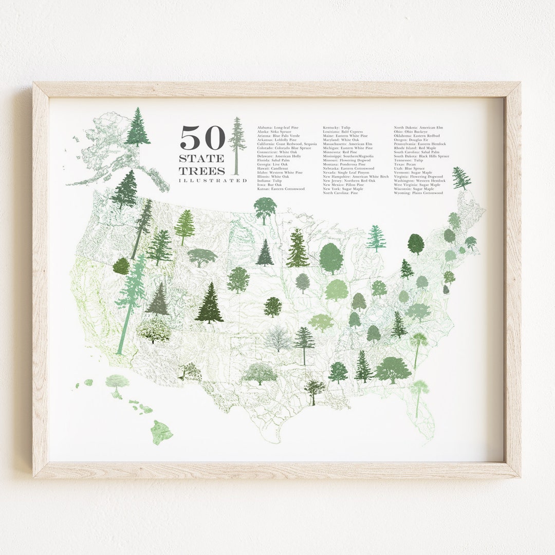 STATE Treescape Map Drawing (art Print) 50 State Trees America USA ...
