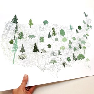 STATE Treescape Map Drawing (art Print) American USA State Trees Earth ...
