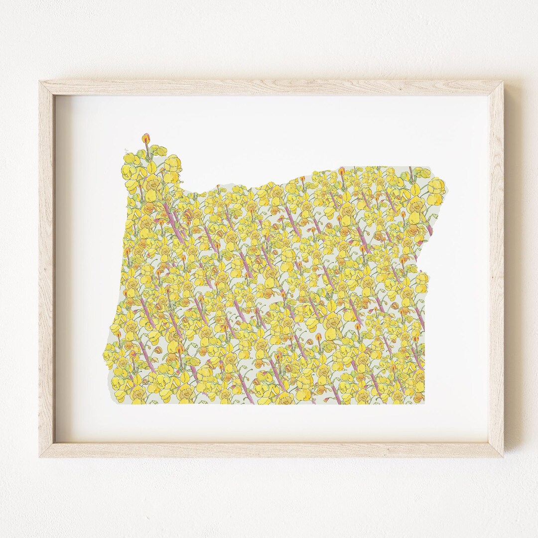 OREGON State Flower Map Watercolor Oregon Grape (art Print) Map Wall ...