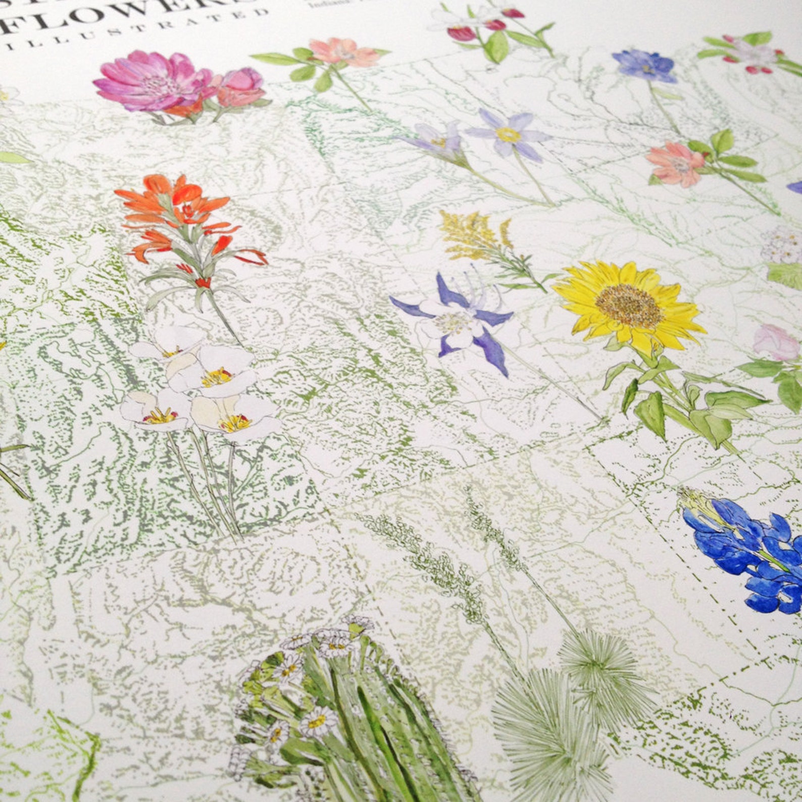 STATE Flowerscape Map Drawing (art Print) 50 State Flowers America USA ...