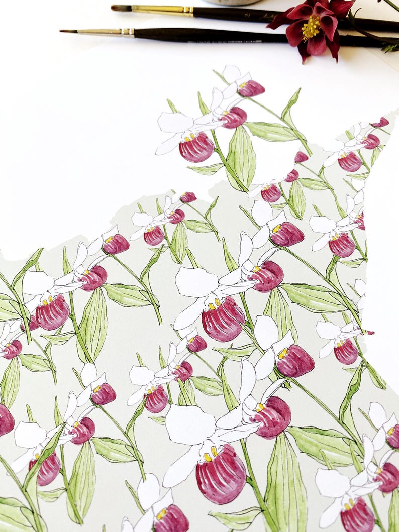 MINNESOTA State Flower Map Watercolor Pink and White Ladys Slipper (art ...