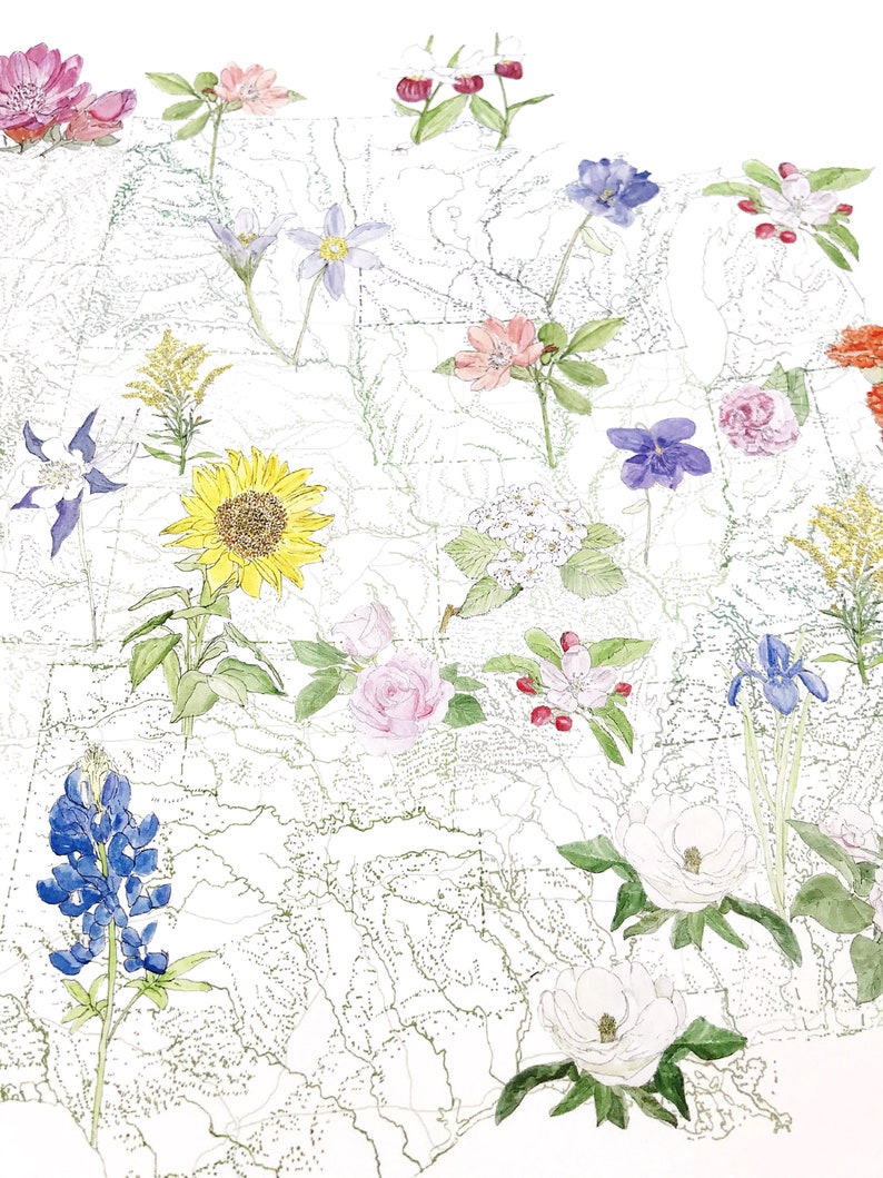 STATE Flowerscape Map Drawing (art Print) 48 State Flowers America USA ...
