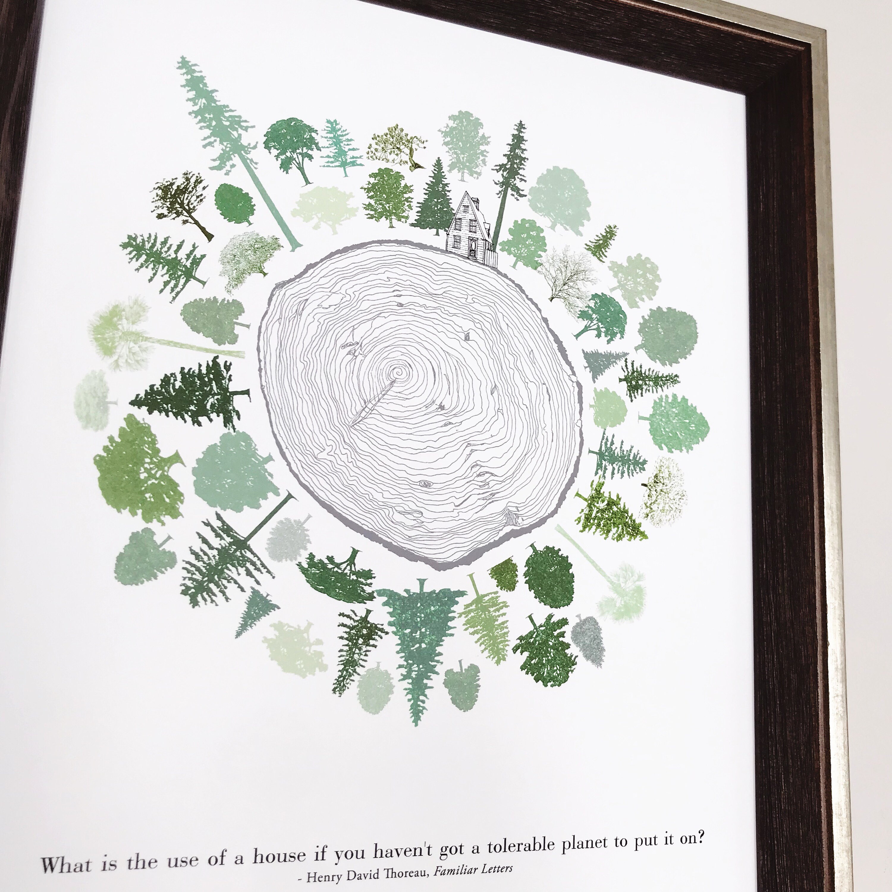 STATE TREE Rings (art Print) Earth Day Arbor Day Thoreau Forest USA ...