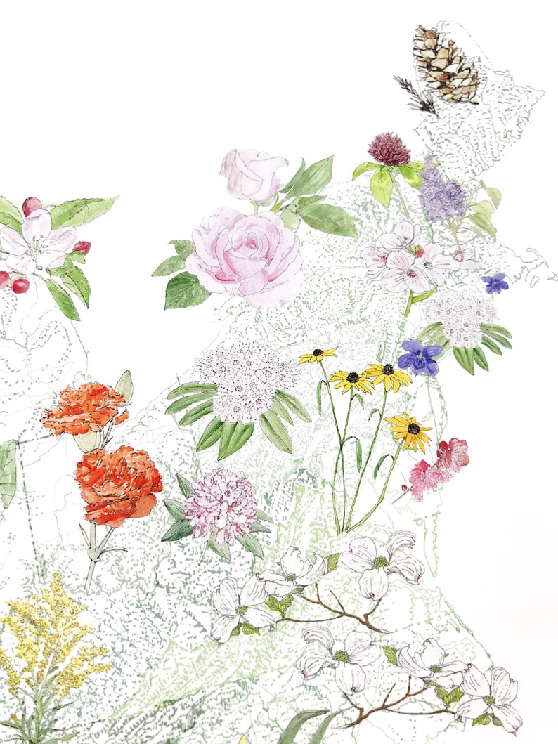 STATE FLOWERscape Map Drawing Art Print 48 State Flowers | Etsy