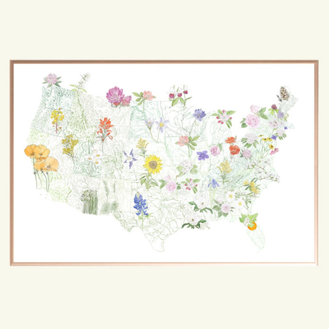 STATE Flowerscape Map Drawing art Print 48 State Flowers - Etsy