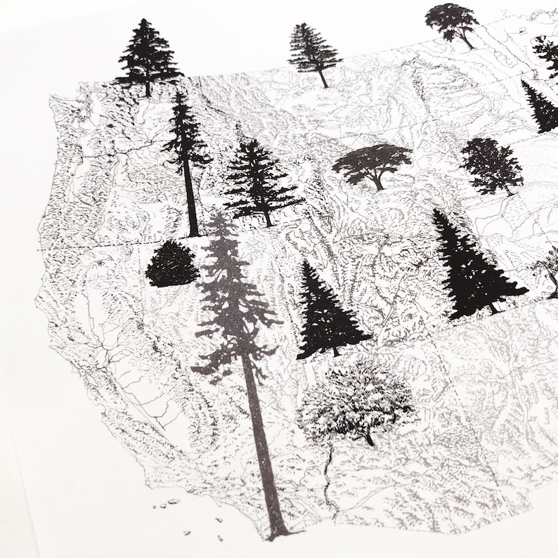 STATE Treescape Map Drawing art Print American USA State - Etsy