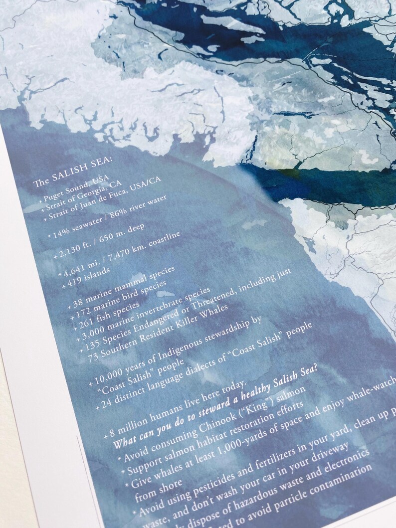 SALISH SEA Map (art Print) Pacific Northwest Coast British Columbia ...