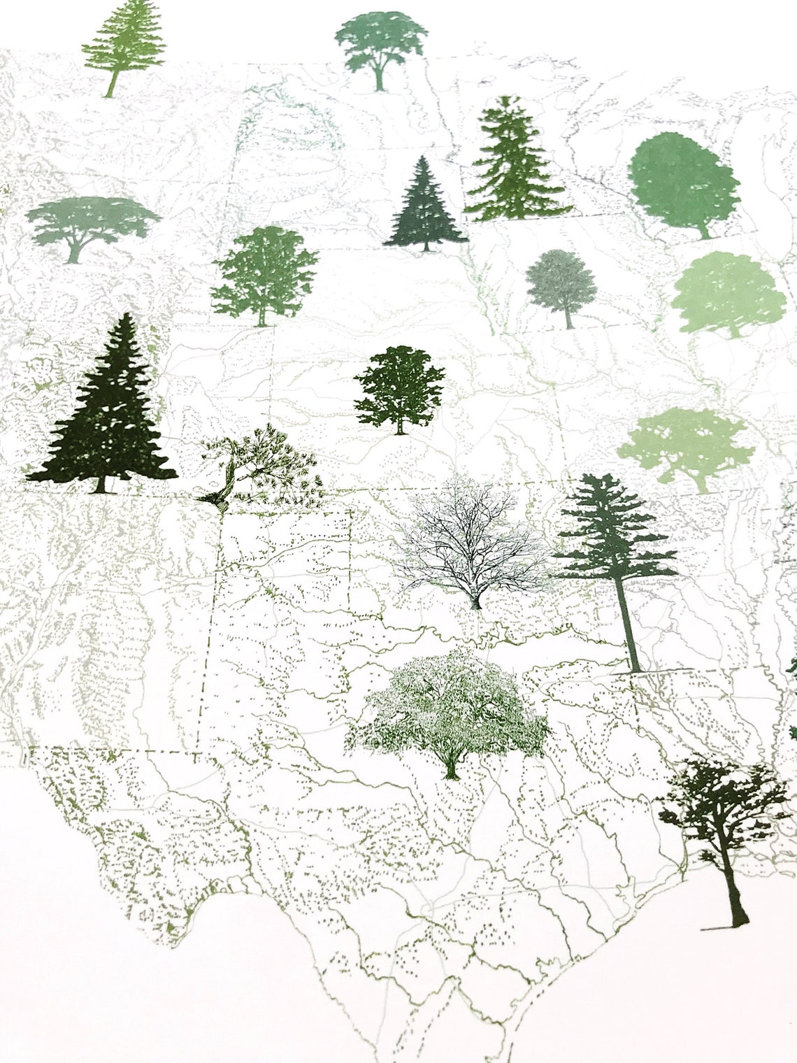 STATE TREEscape Map Drawing Art Print American USA State | Etsy