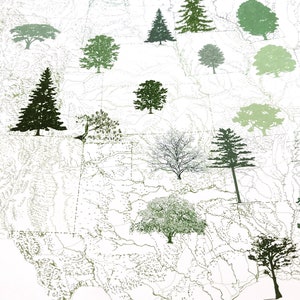 STATE Treescape Map Drawing (art Print) American USA State Trees Earth ...