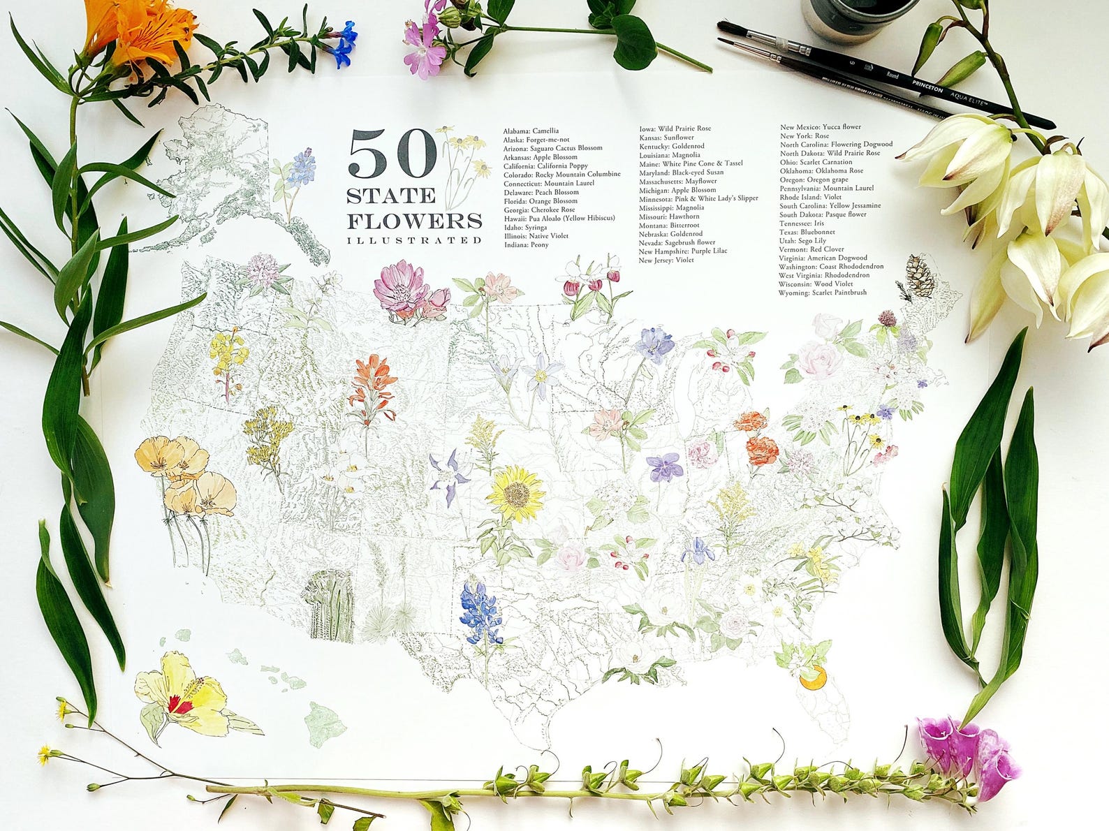 STATE Flowerscape Map Drawing (art Print) 50 State Flowers America USA ...