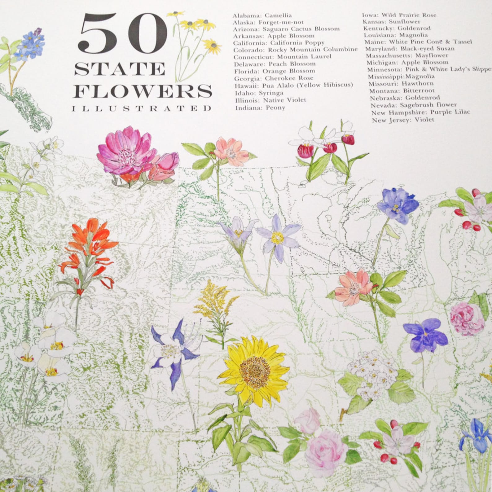 STATE Flowerscape Map Drawing (art Print) 50 State Flowers America USA ...