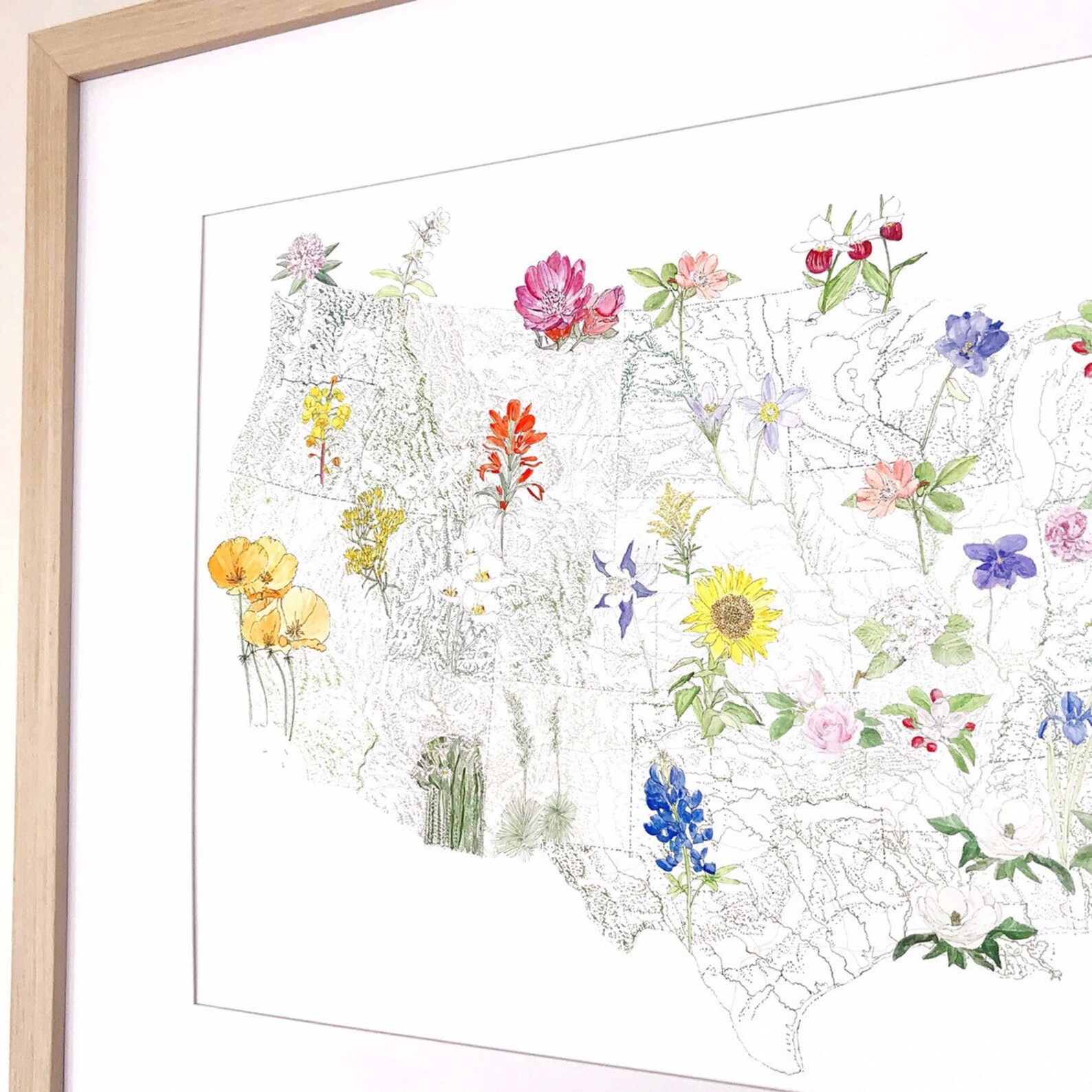 STATE Flowerscape Map Drawing art Print 48 State Flowers - Etsy