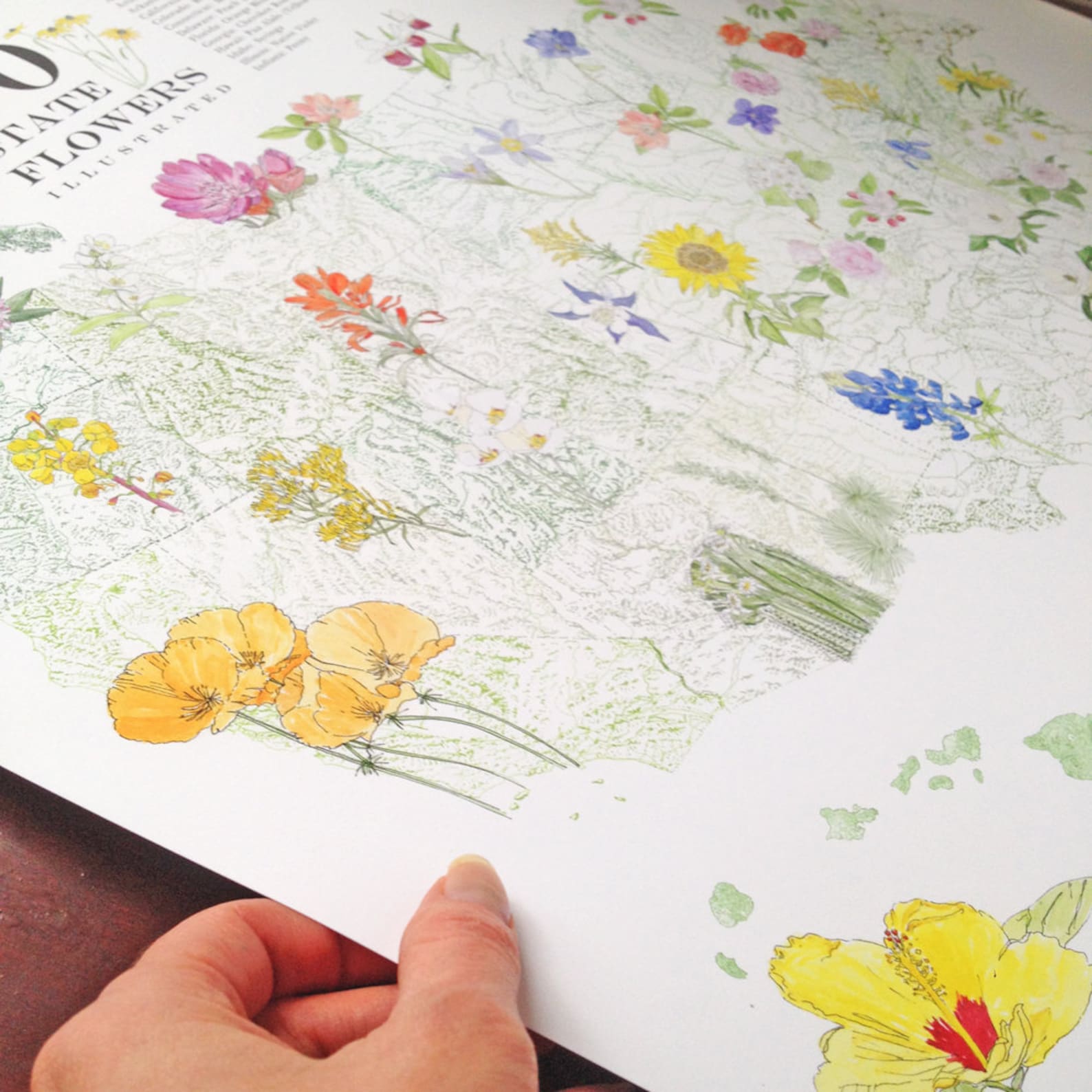 STATE Flowerscape Map Drawing (art Print) 50 State Flowers America USA ...