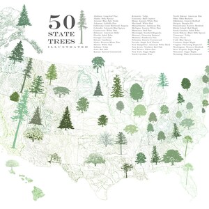 STATE Treescape Map Drawing art Print 50 State Trees America USA ...