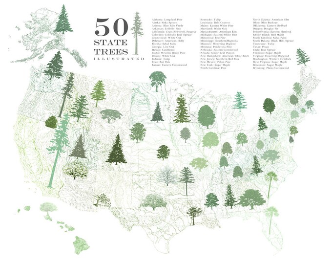 STATE Treescape Map Drawing art Print 50 State Trees America - Etsy
