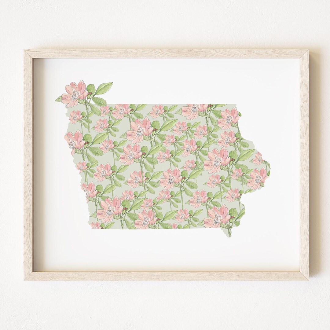 IOWA State Flower Map Watercolor Wild Prairie Rose (art Print) Map Wall ...