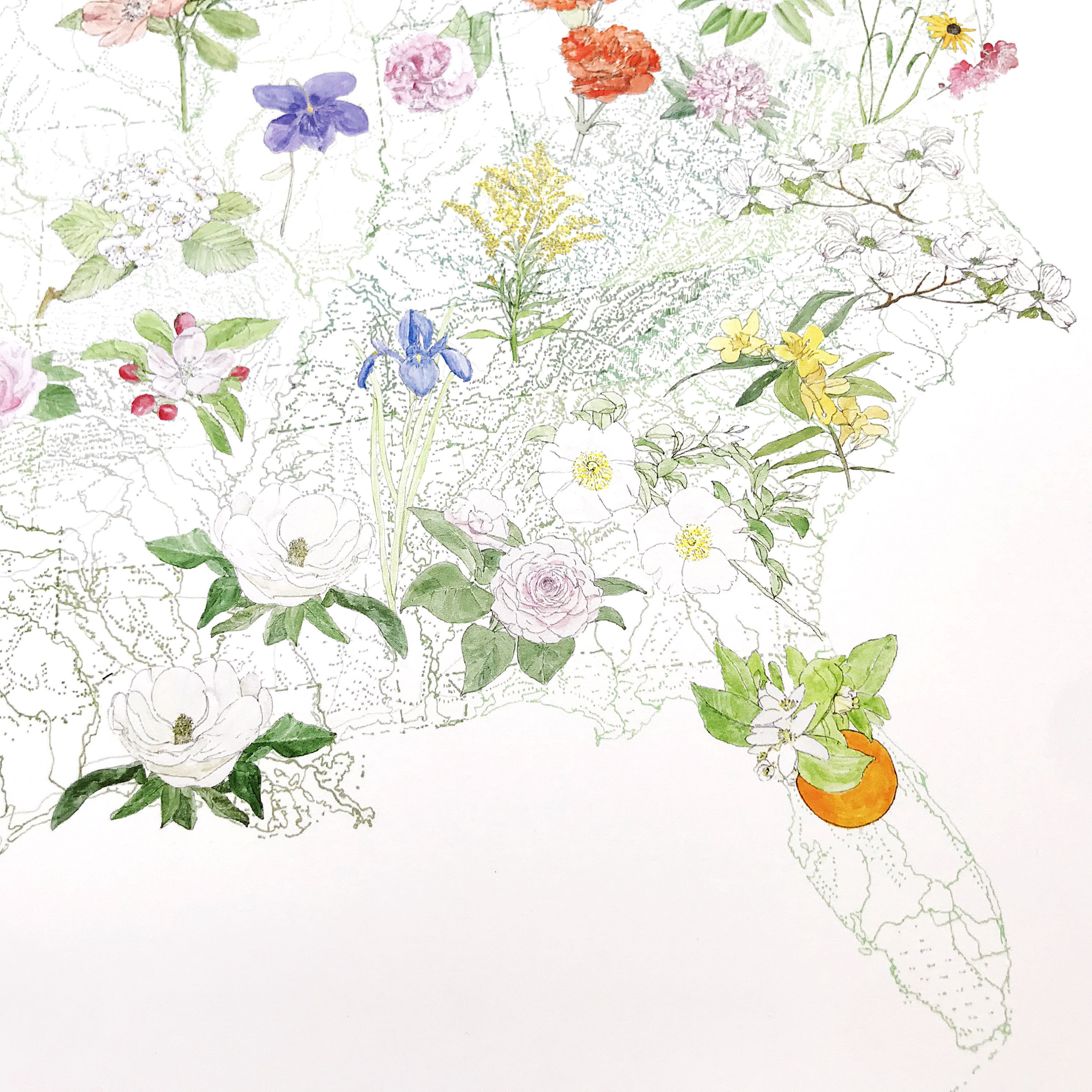 STATE Flowerscape Map Drawing (art Print) 48 State Flowers America USA ...