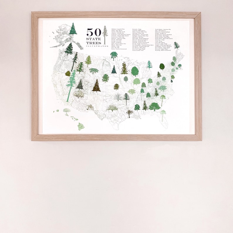 STATE Treescape Map Drawing art Print 50 State Trees America - Etsy