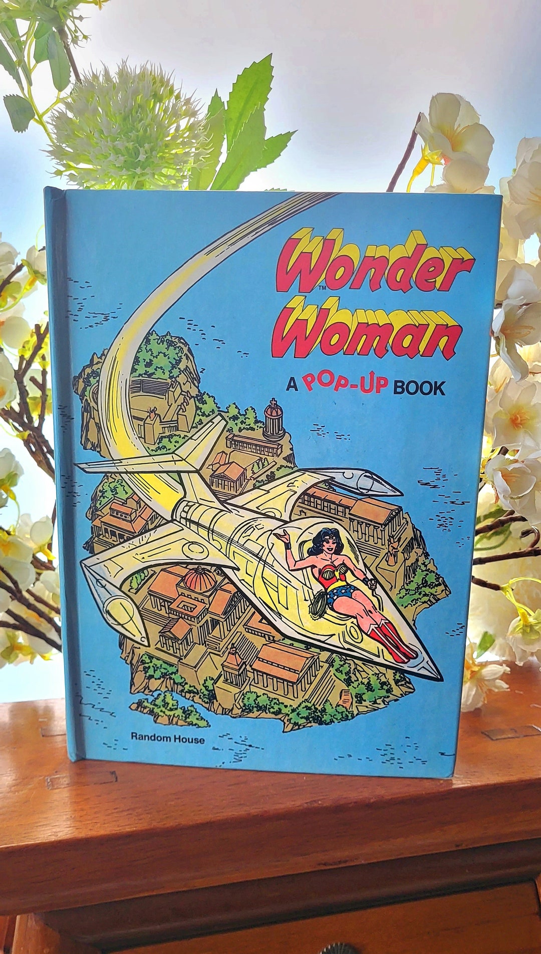 Wonder Woman Pop-up Book DC Comics Superheros Pop up Books - Etsy
