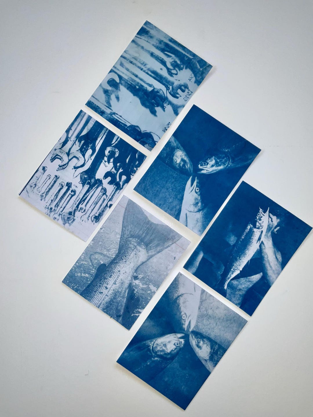 Cyanotype Blank Greeting Cards Assorted Set of 6 | Handmade Stationery ...