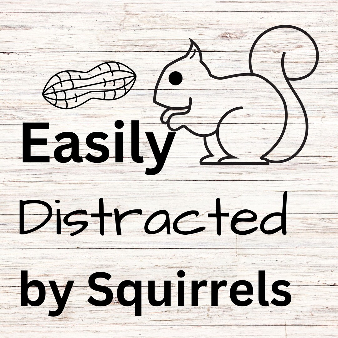 Easily Distracted by Squirrels SVG, Squirrel SVG, Squirrel PNG, Digital ...