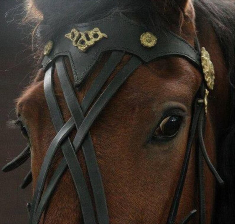 Fancy Horse Bridle Unique Style With Reins Pure Leather and Brass ...