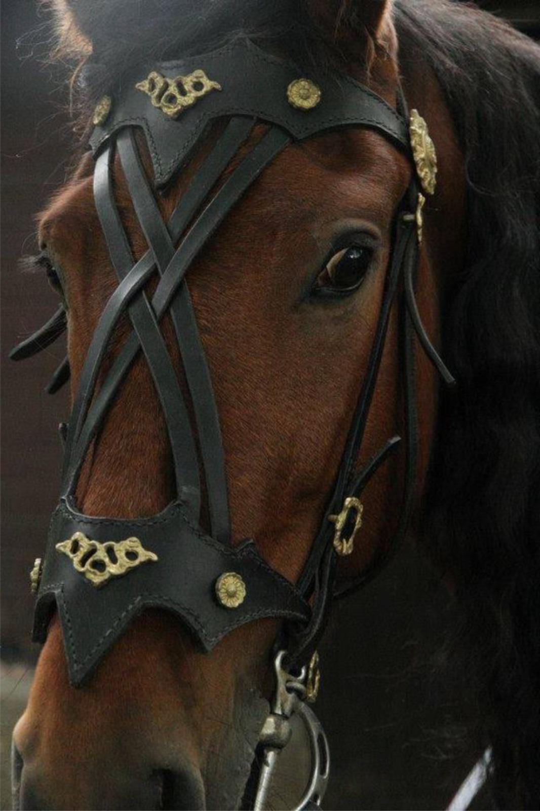 Fancy Horse Bridle Unique Style With Reins Pure Leather and Brass ...