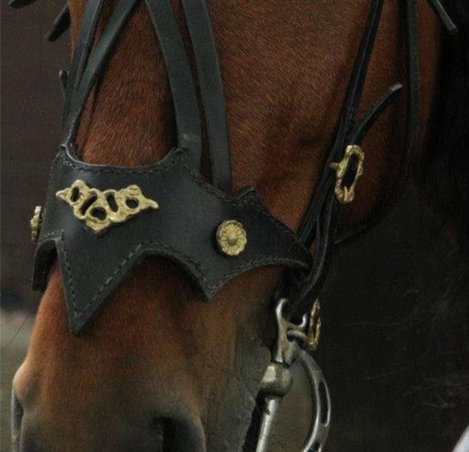 Fancy Horse Bridle Unique Style With Reins Pure Leather and Brass ...