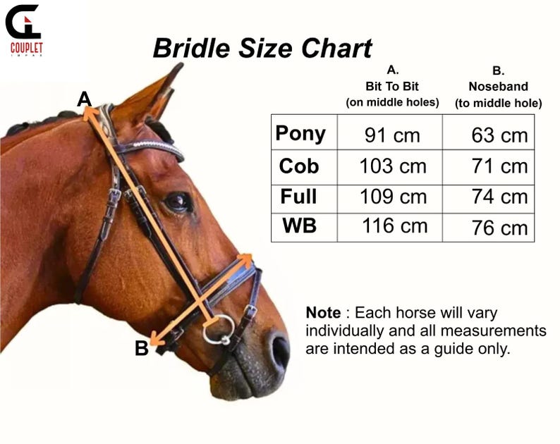 Fancy Horse Bridle Unique Style With Reins Pure Leather and Brass ...