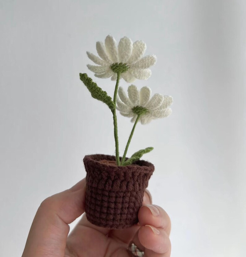 Crochet Mini Daisy Flower Pot PDF English Pattern, Crochet Mini Flower ...
