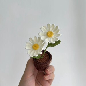 Crochet Mini Daisy Flower Pot PDF English Pattern, Crochet Mini Flower ...
