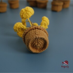 AMIGURUMI PATTERN: Crochet Mini Pot | Crochet Plant Pot Pattern ...