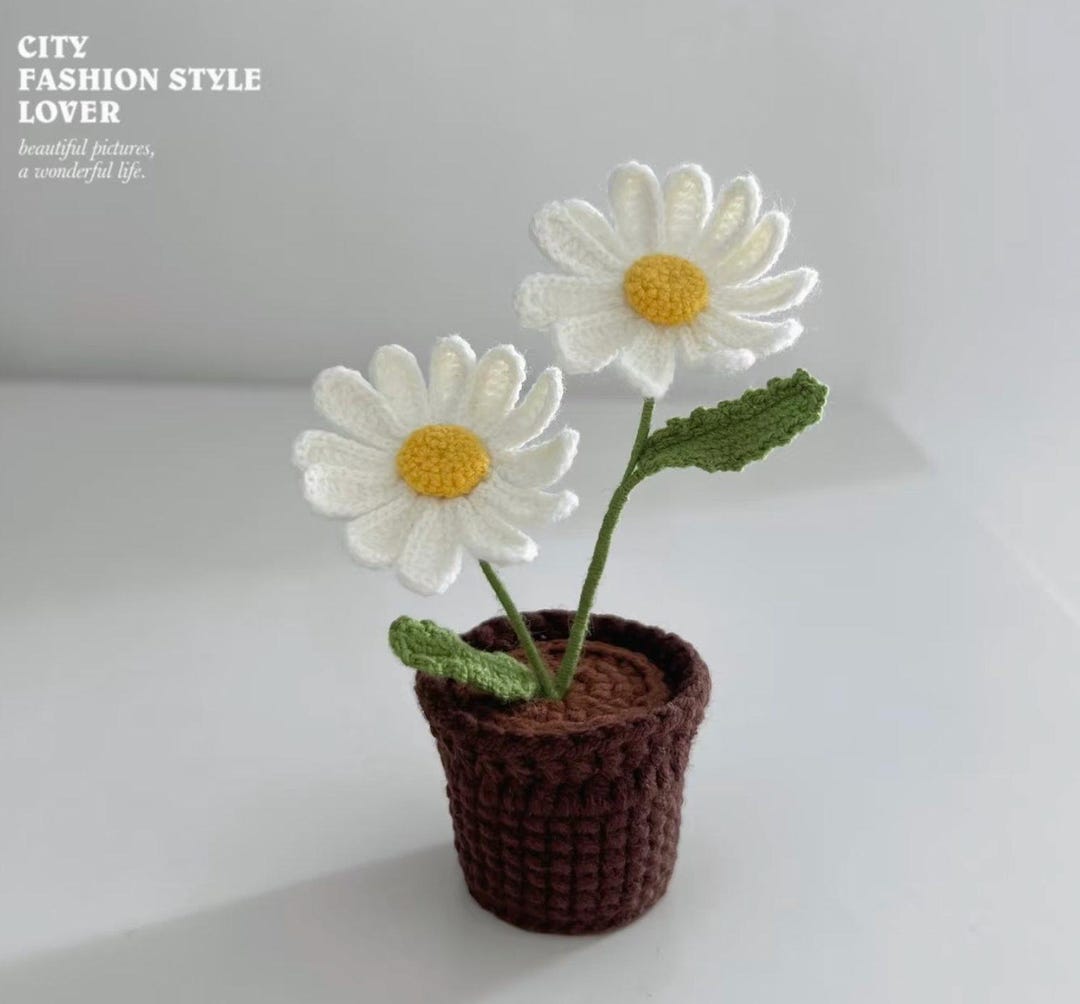 Crochet Mini Daisy Flower Pot PDF English Pattern, Crochet Mini Flower ...
