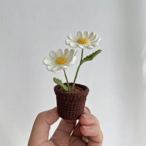 Crochet Mini Daisy Flower Pot PDF English Pattern, Crochet Mini Flower ...