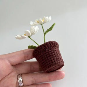 Crochet Mini Daisy Flower Pot PDF English Pattern, Crochet Mini Flower ...