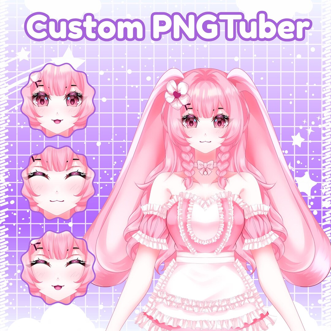 Custom PNGTUBER Pngtuber Pngtuber Character Pngtuber for Streamer ...