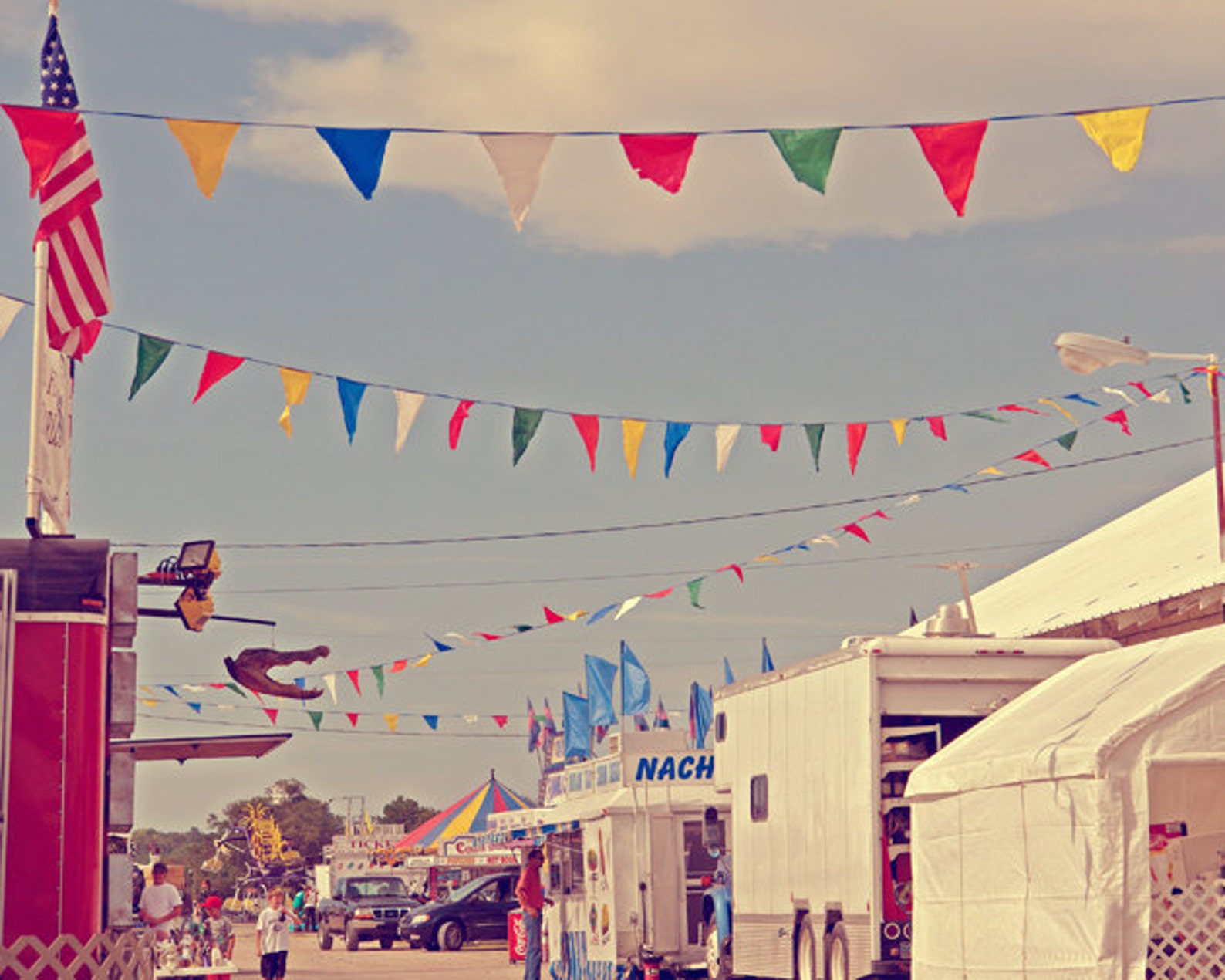 Alligator Picnic -- Carnival/county Fair Photograph - Etsy