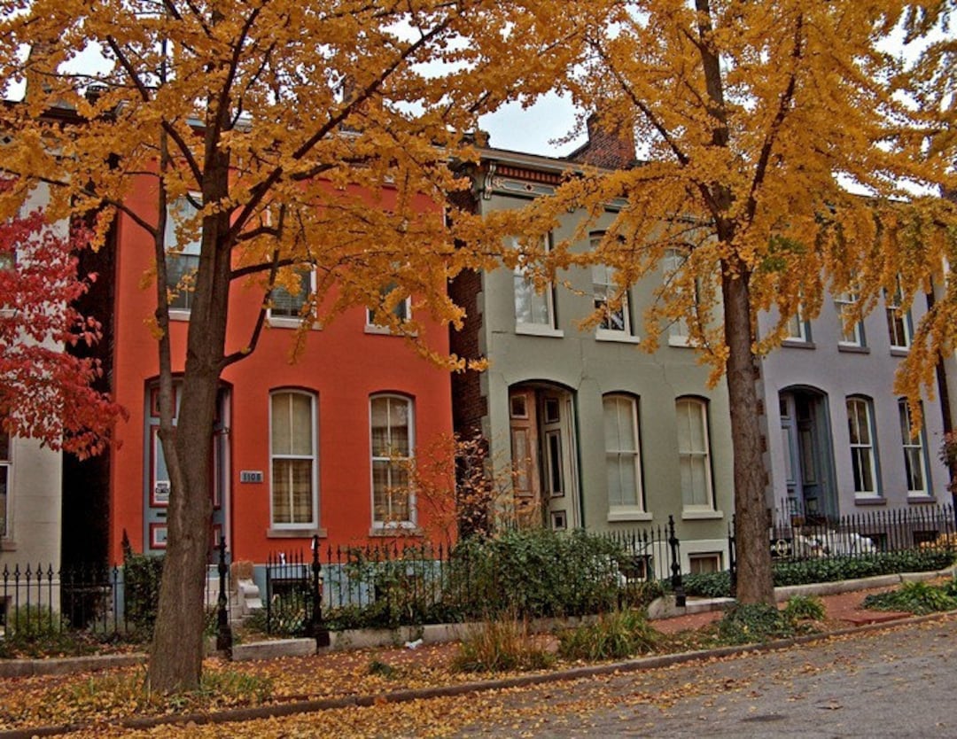 Autumn Near the Square – Fall in St. Louis Photograph - Etsy