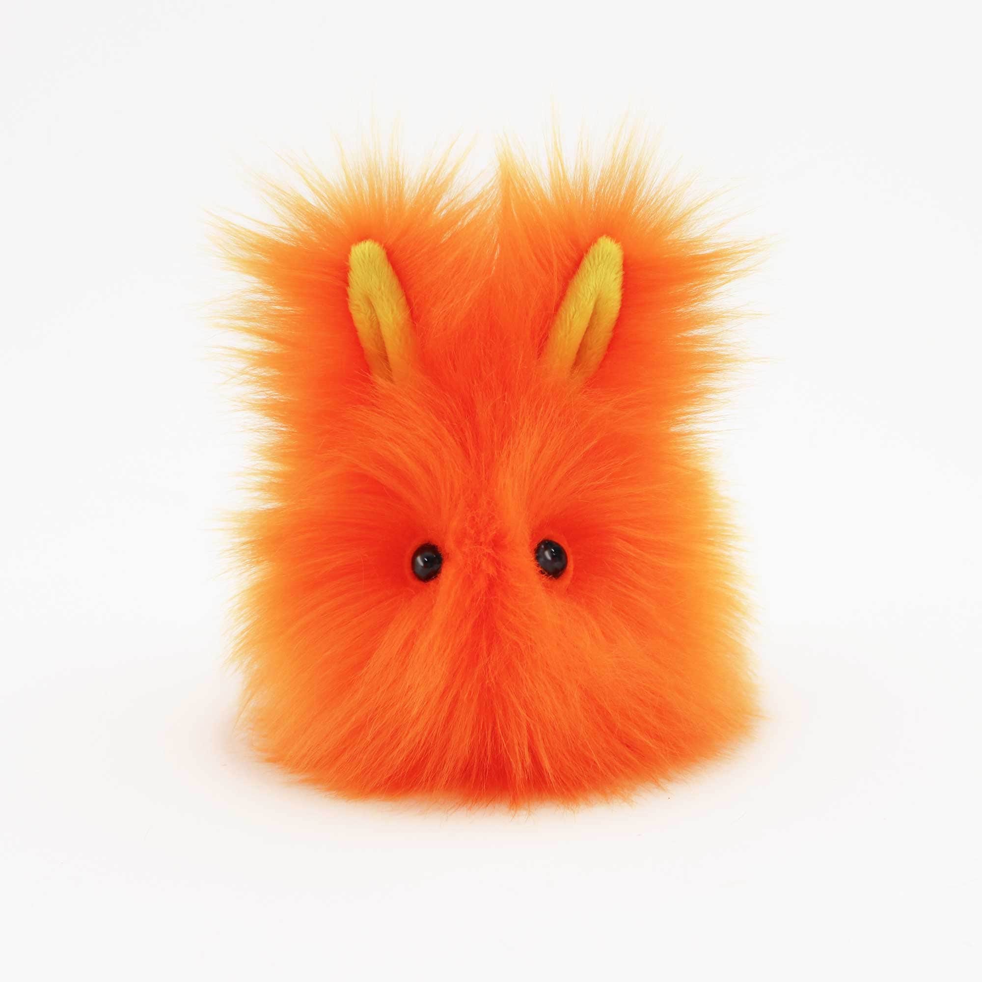 Orange Dwarf Rabbit