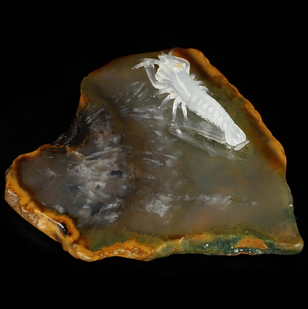 3.1" Indian Agate Hand Carved Crystal Shrimp Sculpture, Crystal Healing ...