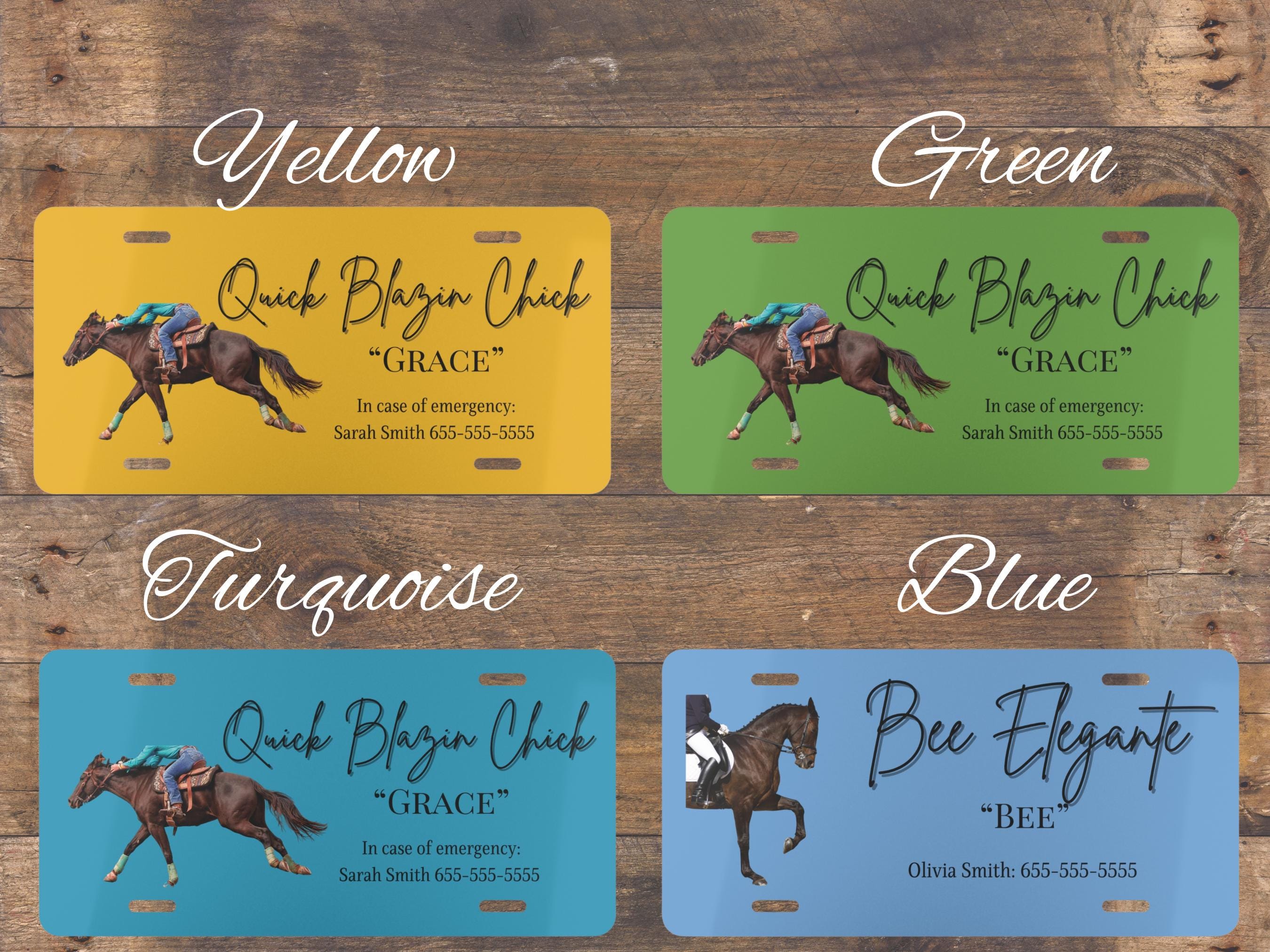 Custom Photo Horse Stall Sign: Personalized Aluminum Nameplate - Etsy