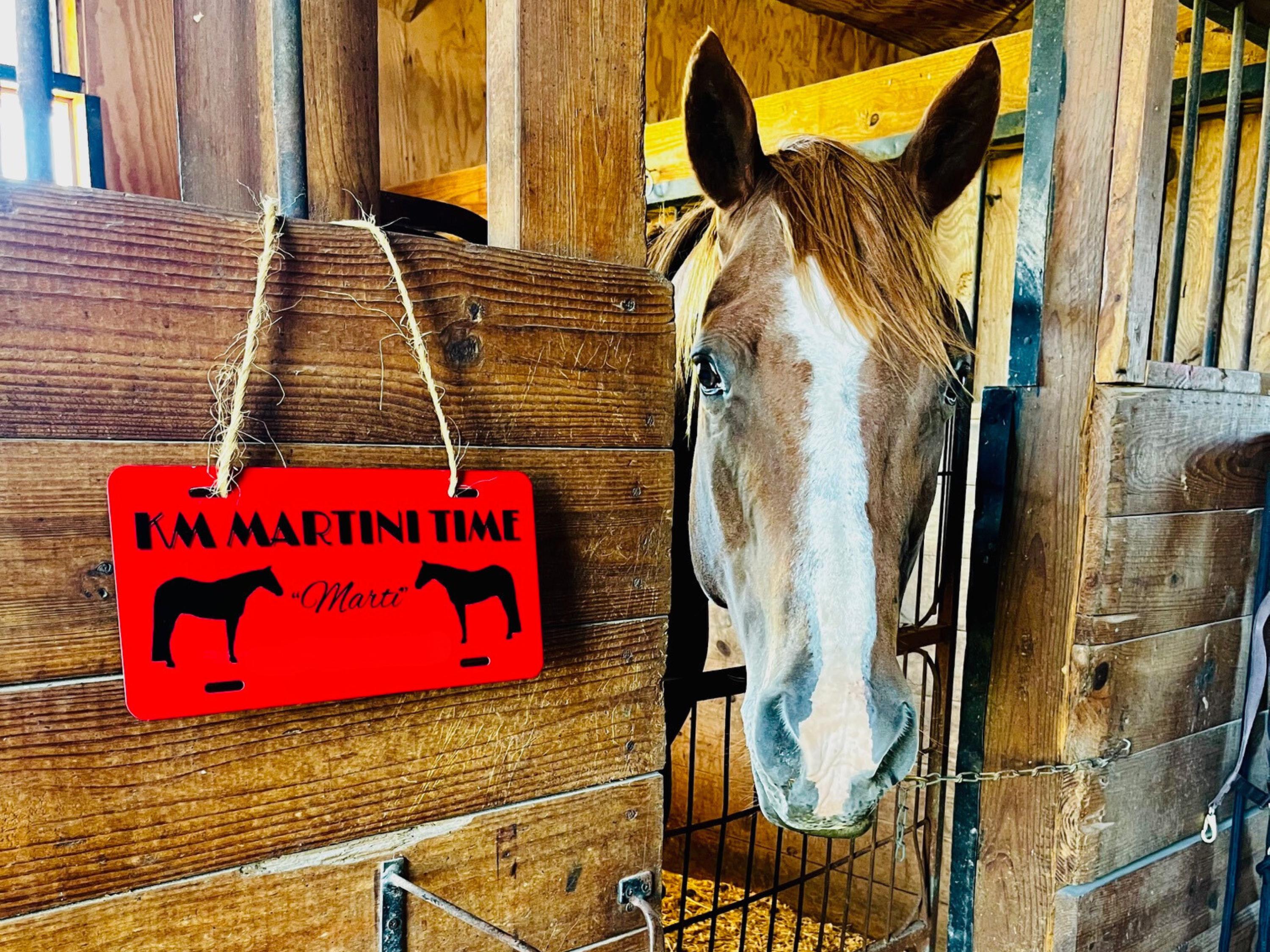 Personalized Horse Stall Sign, Custom Aluminum Contact Stall Sign, in ...