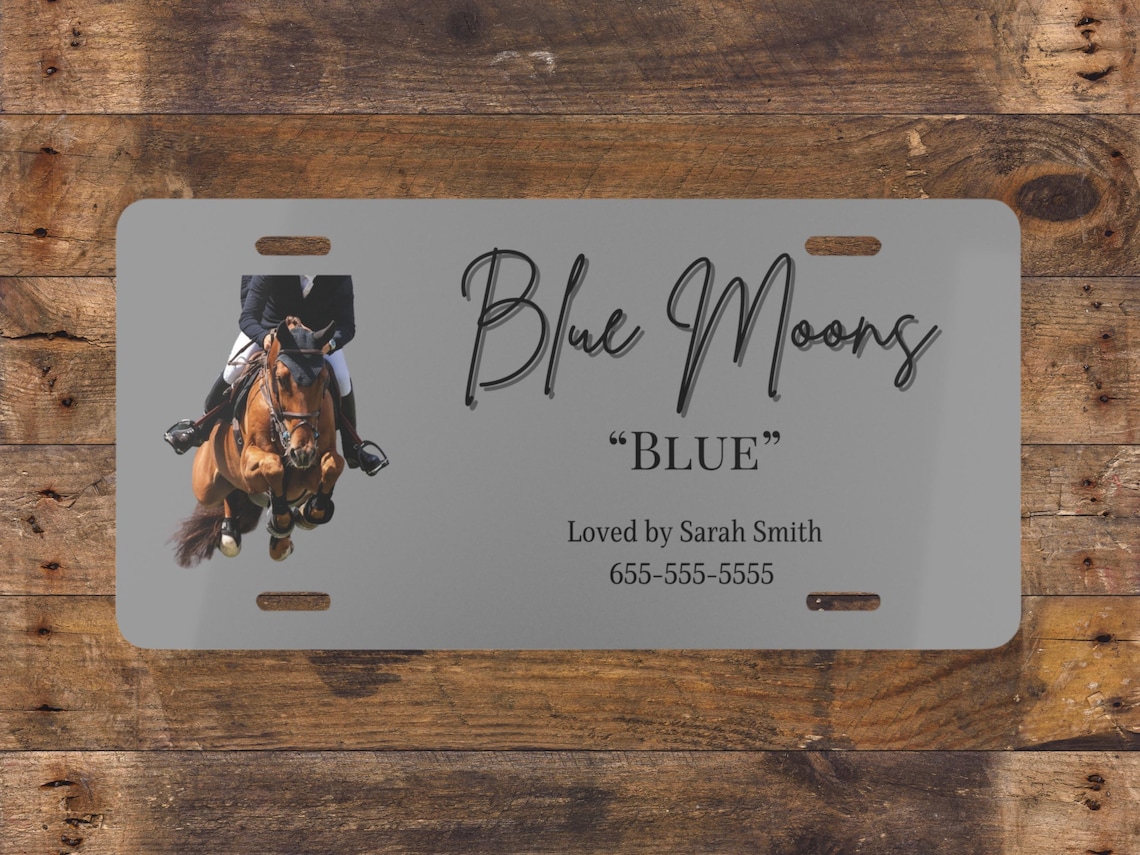 Custom Photo Horse Stall Sign: Personalized Aluminum Nameplate - Etsy